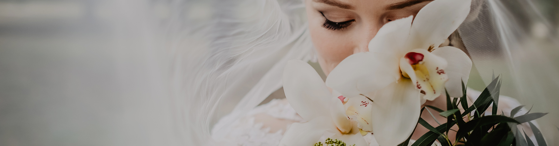 contact us - Mi Sueno Venue